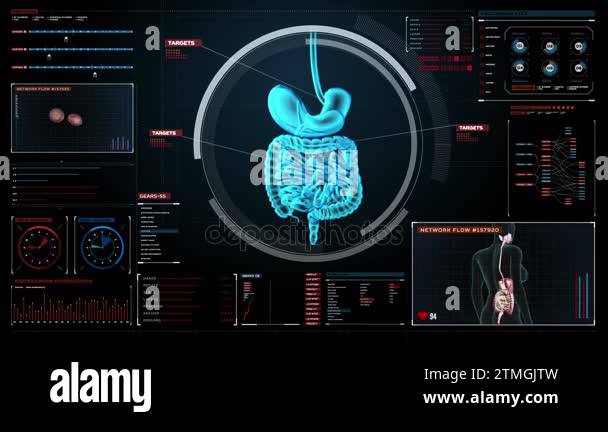 Zooming body scanning internal organs, Digestion system in digital ...