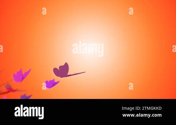 Butterflies - Motion graphics Stock Video Footage - Alamy