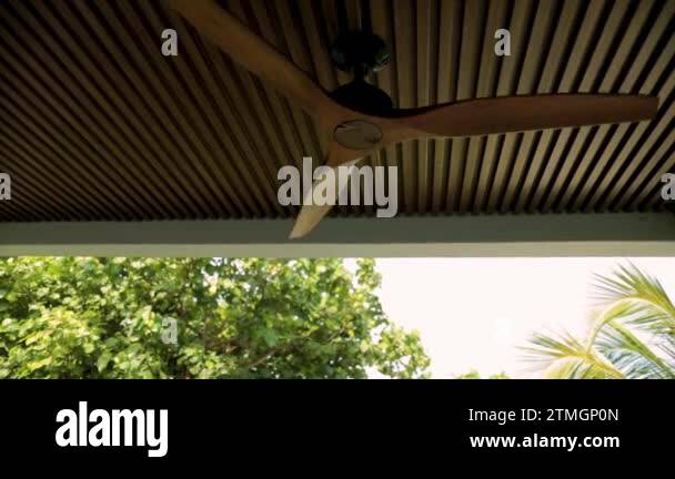 Ceiling fan on wooden roof electric ceiling fan rotating slowly and air ...