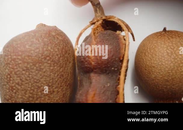 Close up tamarind Stock Videos & Footage - HD and 4K Video Clips - Alamy