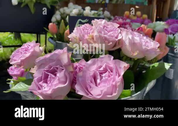Flower counter various colorful flowers in metal buckets, pots with ...