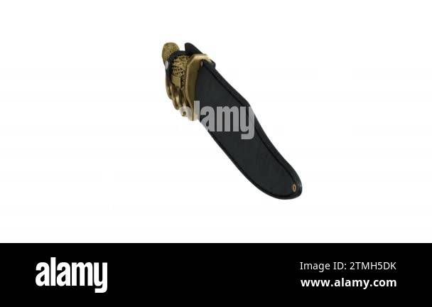 Gold dagger and sheath Stock Videos & Footage - HD and 4K Video Clips ...