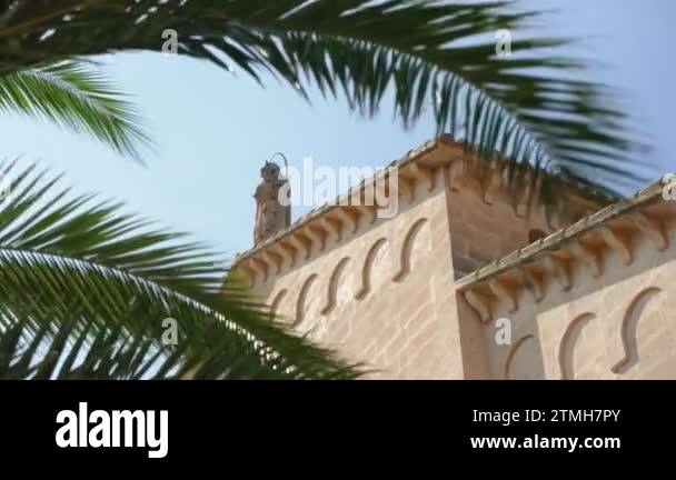 Palm tree in ancient roman Stock Videos & Footage - HD and 4K Video ...