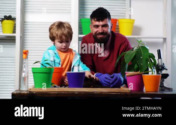 Father ans child son planting sprout in a plant pot. Little cute boy ...