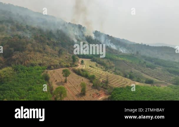 The biggest cause of forest loss is agricultural deforestation ...