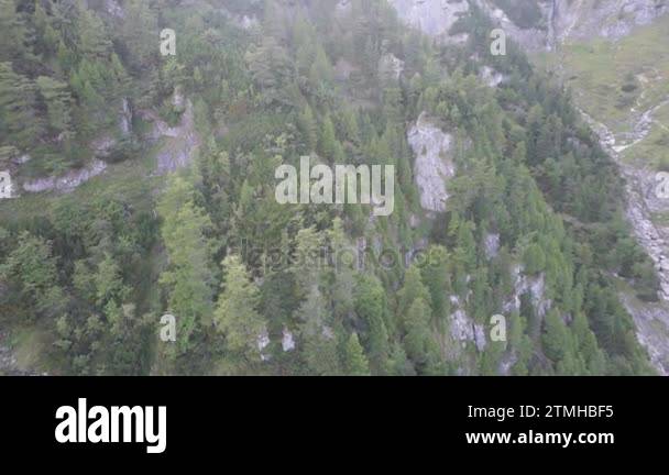 Tourism tree transportation system Stock Videos & Footage - HD and 4K ...