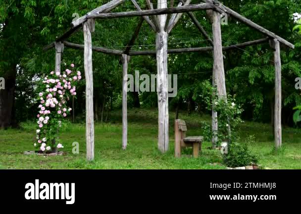 Perfumed garden tree Stock Videos & Footage - HD and 4K Video Clips - Alamy