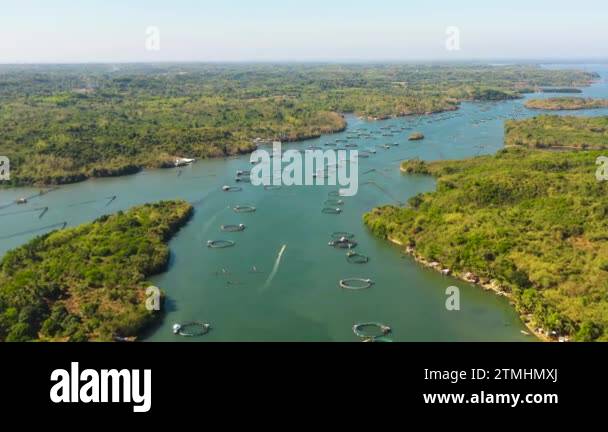 Aerial view of Fish farm with cages for fish and shrimp. Fish ponds for ...