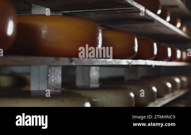 Cheddar cheese maturing Stock Videos & Footage - HD and 4K Video Clips ...
