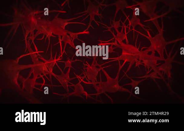 Synapses human brain Stock Videos & Footage - HD and 4K Video Clips - Alamy