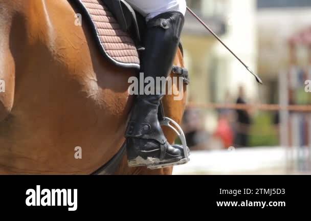 Jockey whip Stock Videos & Footage - HD and 4K Video Clips - Alamy