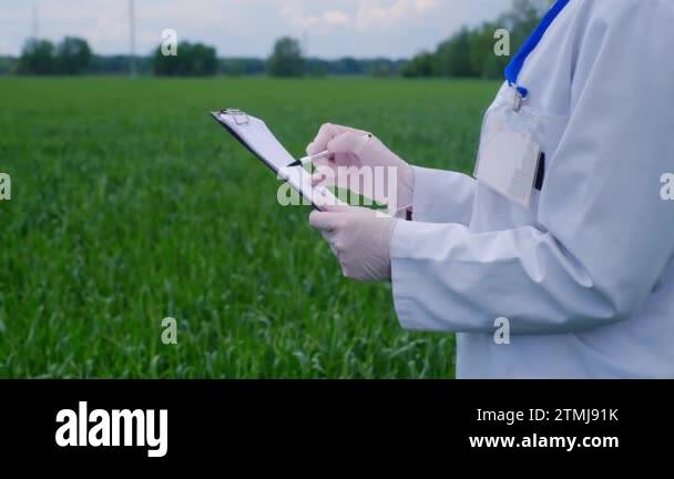 Botanist scientist analyzing plant crop making notes in a journal ...