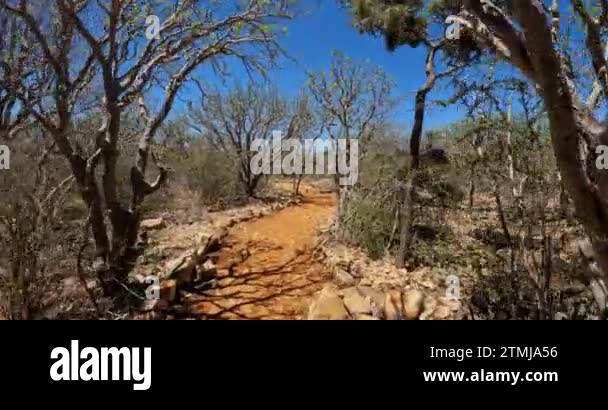National nature reserve nature trail Stock Videos & Footage - HD and 4K ...