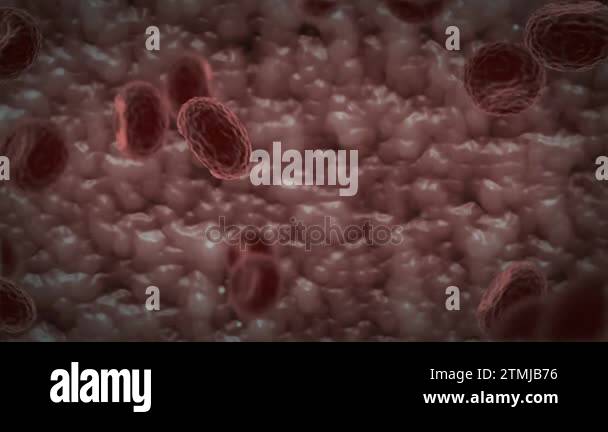 Unit cell cut Stock Videos & Footage - HD and 4K Video Clips - Alamy