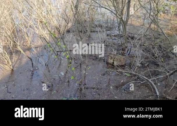 ecological problems. polluted water. flood. Ukraine. ecological ...