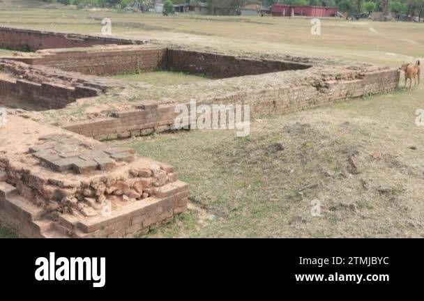 Weird building india Stock Videos & Footage - HD and 4K Video Clips - Alamy