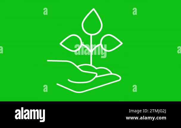 Holding plant white line animation. Human hand holds sprout animation ...