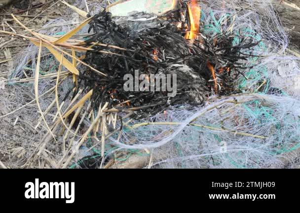Net fire Stock Videos & Footage - HD and 4K Video Clips - Alamy