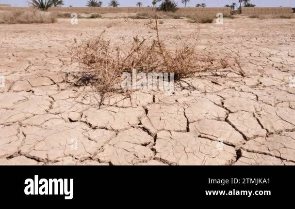 Drought, dry sandy desert ground in an oasis in South Morocco. Concept ...