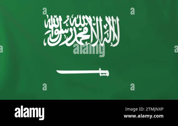 Official flag of saudi arabia Stock Videos & Footage - HD and 4K Video ...