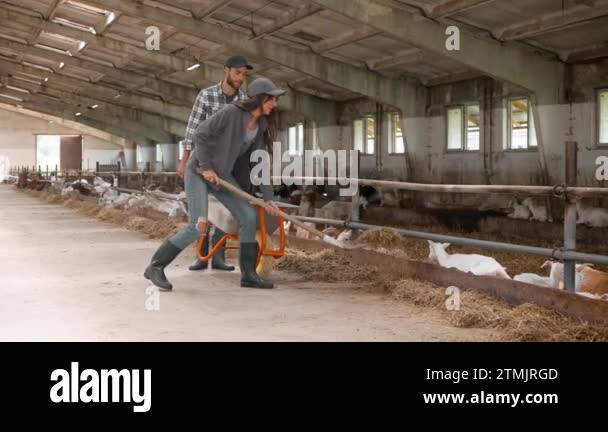 Cute Caucasian farmers working together in farm. Pretty woman with ...