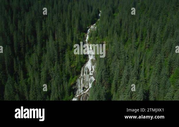 A shot looking down on trees and streams, tilted towards the mountains ...