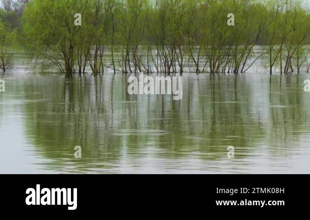 Water flow fast flood Stock Videos & Footage - HD and 4K Video Clips ...
