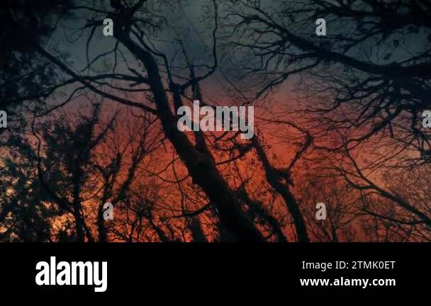 Dramatic walking Stock Videos & Footage - HD and 4K Video Clips - Alamy