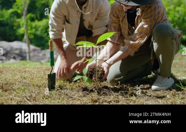 asian couple conservation volunteers are helping reforestation to ...