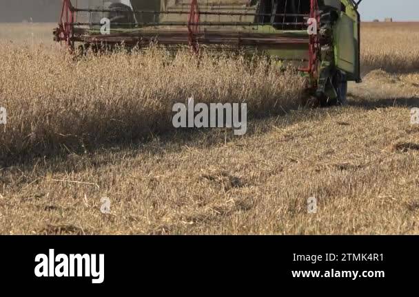 Harvesting agricultural combine machine with reel and cutter bar is ...