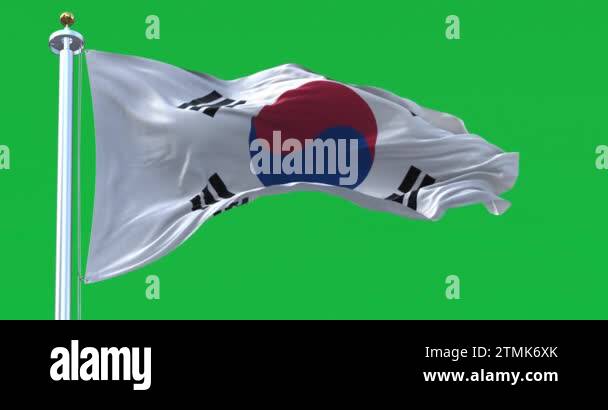 South Korea flag waving on a green background. White field with a red ...