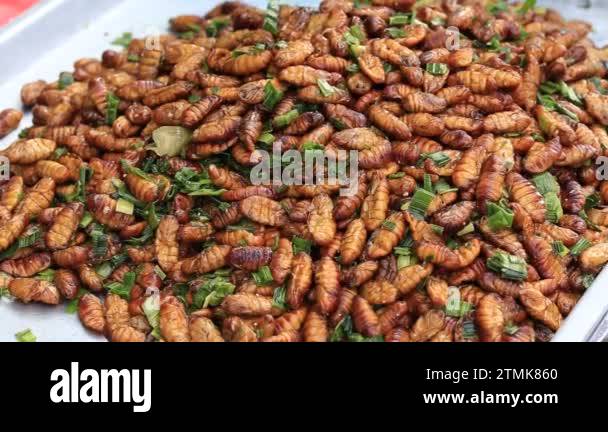 Edible roasted and spiced meal worms, Bugs fried on street food in ...