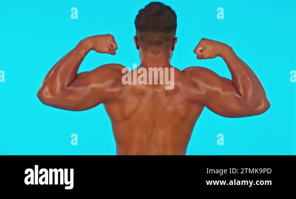 Muscle, man back flex and studio with fitness and exercise of a ...