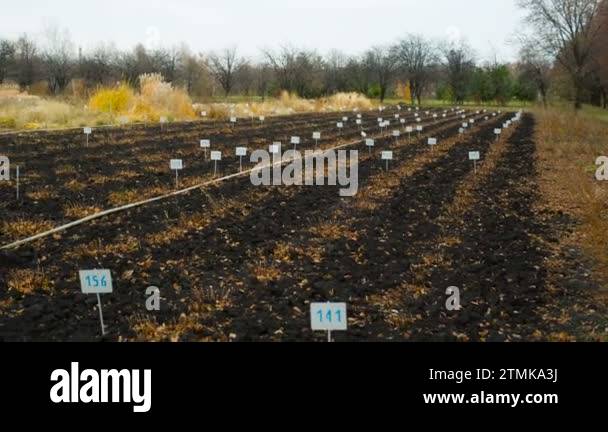 Land signs Stock Videos & Footage - HD and 4K Video Clips - Alamy