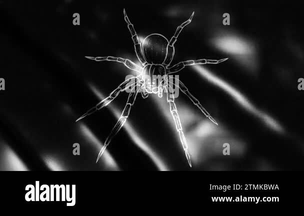 Spider web flag Stock Videos & Footage - HD and 4K Video Clips - Alamy