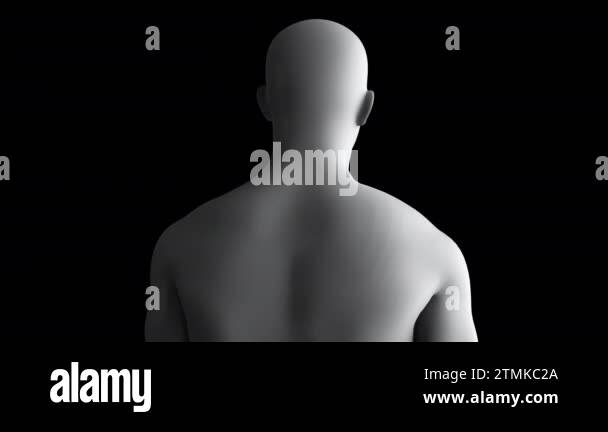 Basic human male figure - digital man - head and torso portrait ...