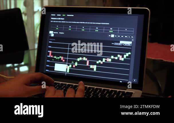 Women going through DOT 7 days Candle Stick Charts on a Laptop Stock ...