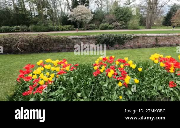Baddesley Stock Videos & Footage - HD and 4K Video Clips - Alamy