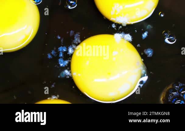 The eggs are sprinkled with salt. Cooking scrambled eggs. Egg yolk and ...