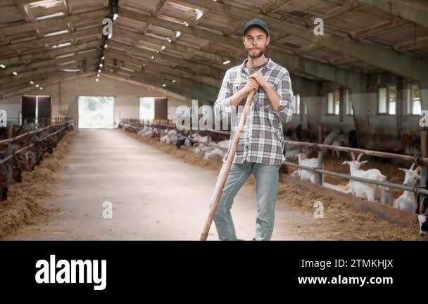 Zooming in handsome Caucasian farmer standing in barn while goats ...