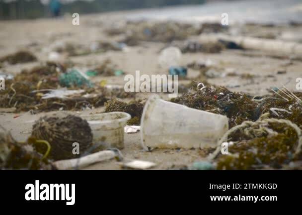 Litter plastic waste Stock Videos & Footage - HD and 4K Video Clips - Alamy