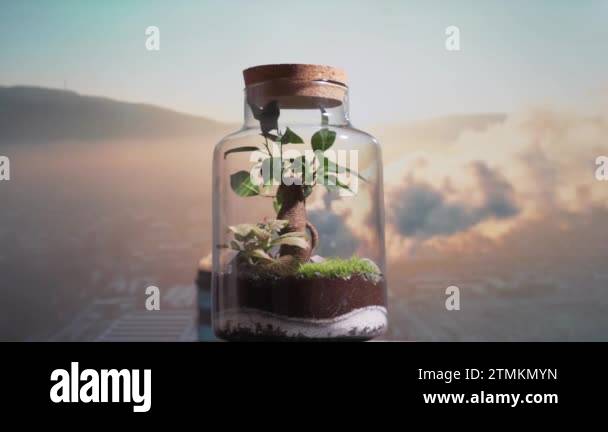 Experience the wonder of an ecosystem in a jar with this mesmerizing ...
