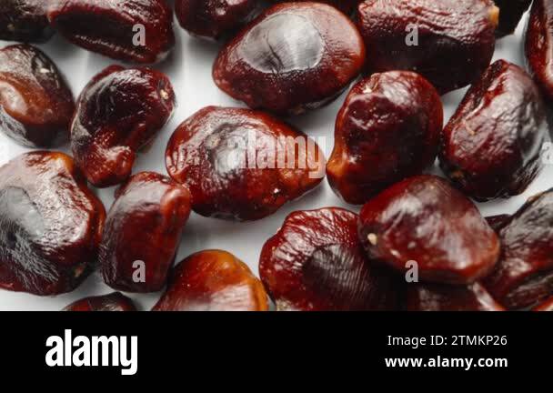 Floating coconut seeds Stock Videos & Footage - HD and 4K Video Clips ...