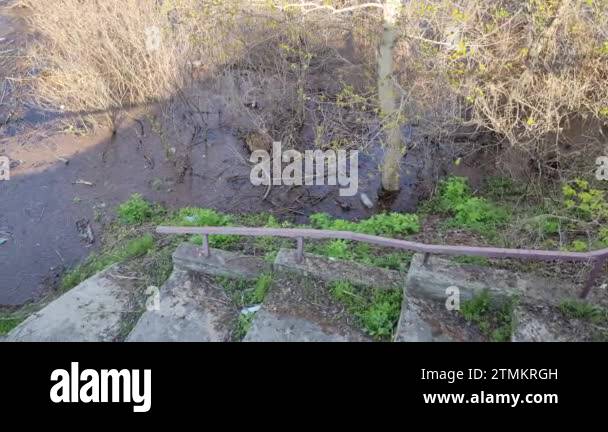 ecological problems. polluted water. flood. Ukraine. ecological ...