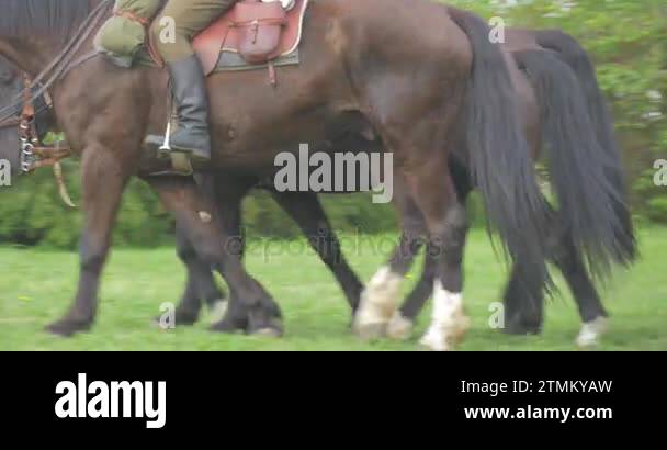 Two Male Soldiers Riding Horses Legs in Boots Equipment on Saddles ...