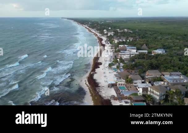 Sargassum Seaweed Crisis with Beaches in Mexico Battling Gulfweed ...