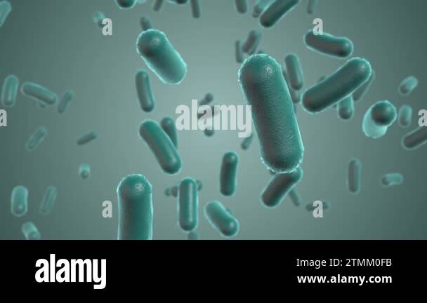 Salmonella bacteria. S. typhi, S. typhimurium and other Salmonella, rod ...