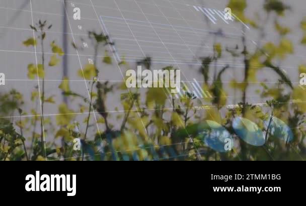 Animation of multiple graphs, changing numbers, loading circle over plantation against windmills ...