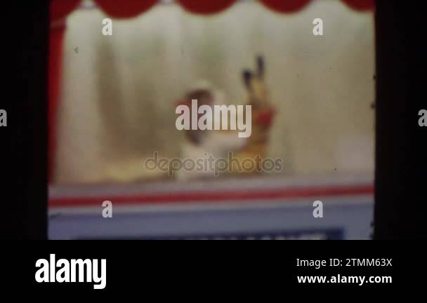Rabbit puppet Stock Videos & Footage - HD and 4K Video Clips - Alamy