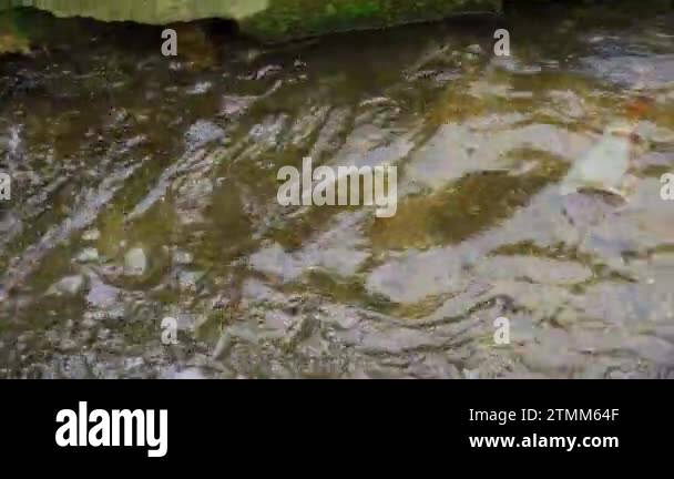 Clean water channel that comes down from the mountain and runs through ...